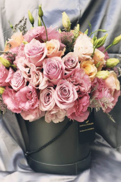 Inicio - Fabiola Dorado